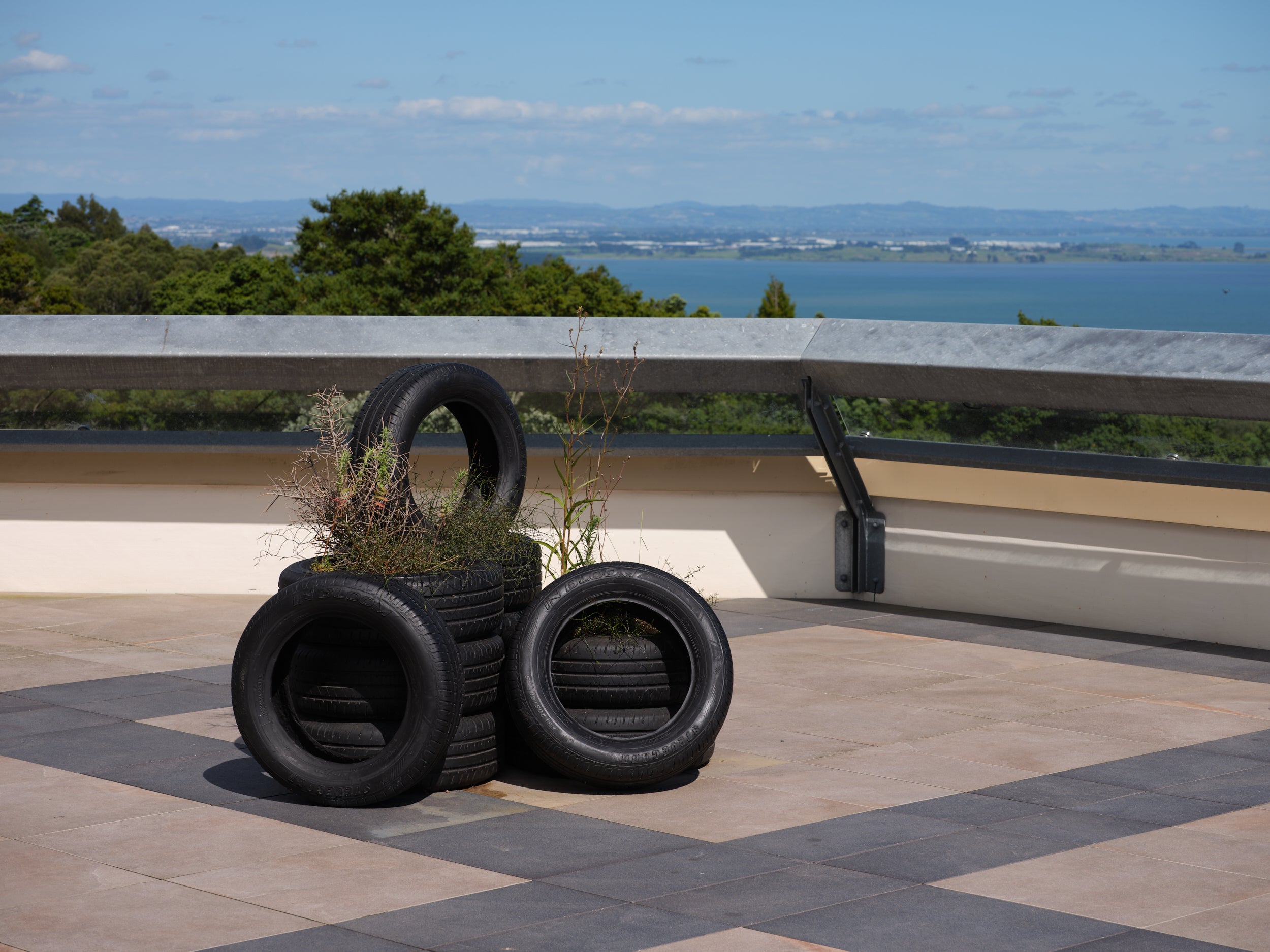 Steve Carr: In Bloom – Te Uru