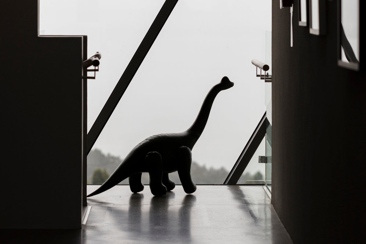 Gregor Kregar: Lost World Glass – Te Uru